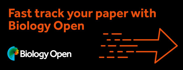 Whole-brain mapping of projection from mouse lateral septal nucleus ...