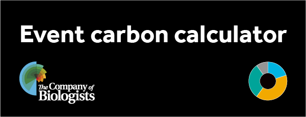 Filtration and respiration of filter-feeding marine invertebrates are ...