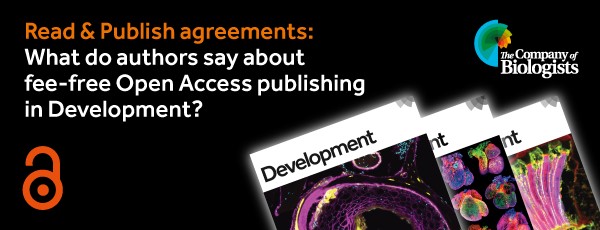 ClearSee: a rapid optical clearing reagent for whole-plant fluorescence ...