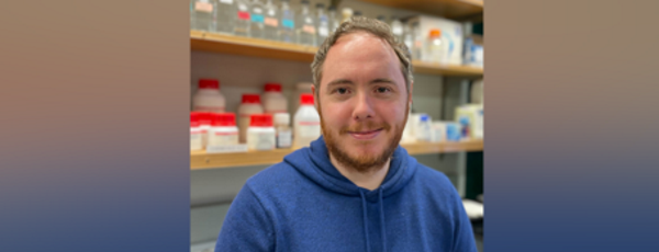 Development of the human placenta | Development | The Company of Biologists