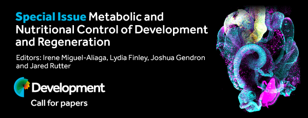 Development of the human placenta | Development | The Company of Biologists