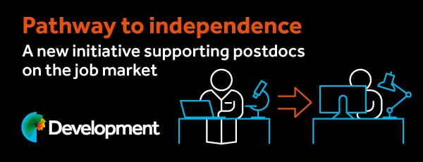 Development of the human placenta | Development | The Company of Biologists