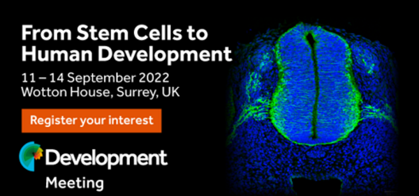 Cellular and molecular mechanisms of tooth root development ...