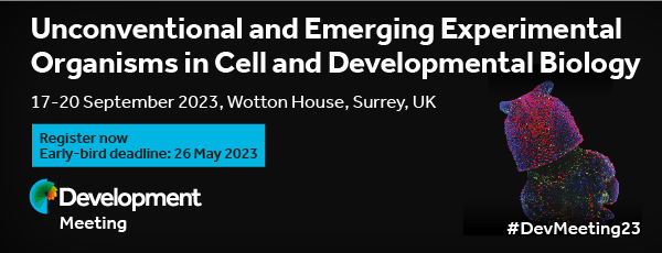 RUNX transcription factors: orchestrators of development | Development | The Company of Biologists