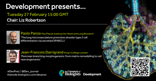 Helical growth in plant organs: mechanisms and significance ...