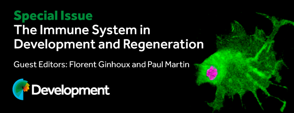 Helical growth in plant organs: mechanisms and significance ...