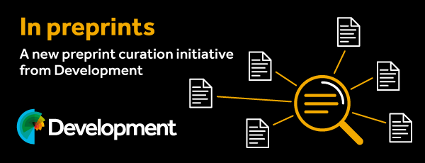 Human lung development: recent progress and new challenges ...