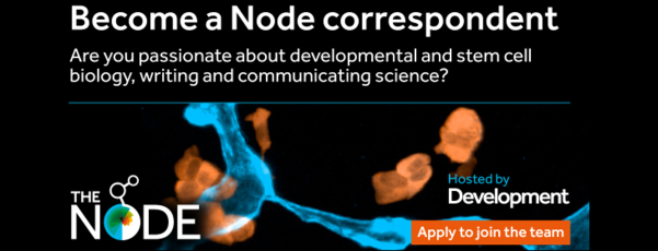 Neuronal Migration In The Cns During Development And Disease Insights From In Vivo And In Vitro