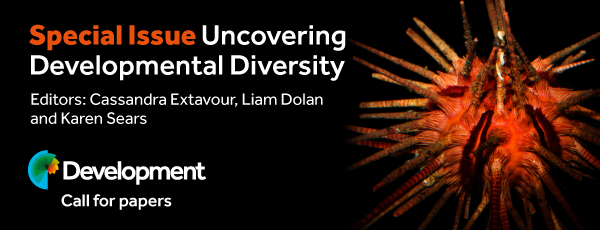 Helical growth in plant organs: mechanisms and significance ...