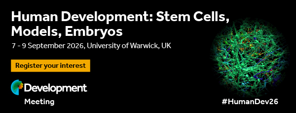 Development of the human placenta | Development | The Company of Biologists