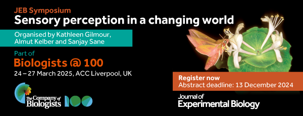 The role of mouse tails in response to external and self-generated ...