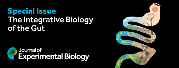 The aerodynamics of insect flight | Journal of Experimental Biology ...