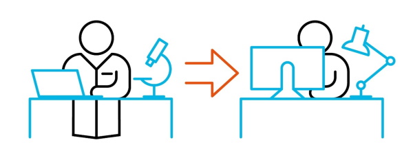 Helical growth in plant organs: mechanisms and significance ...