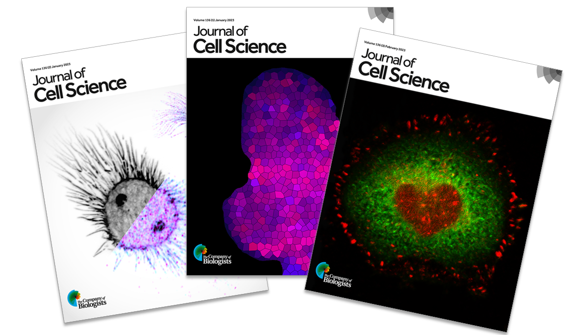 Reasons to submit | Journal of Cell Science | The Company of Biologists