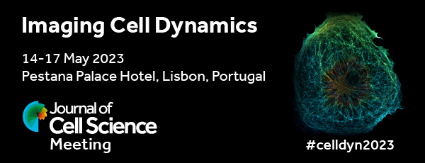 Cellular and molecular mechanisms underlying plasma membrane ...