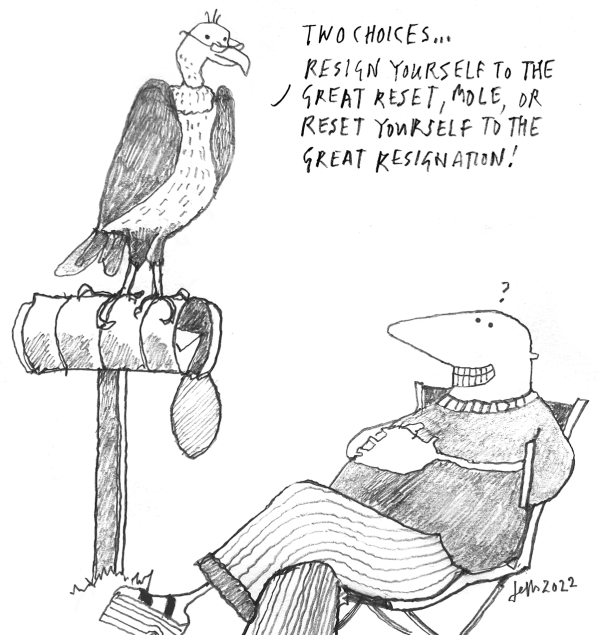 The importance of stupidity in scientific research | Journal of Cell ...