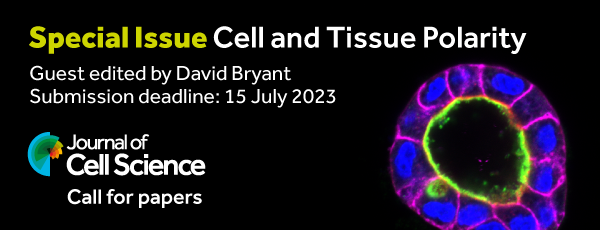 Imaging host–pathogen interactions using epithelial and bacterial cell infection models ...