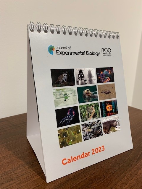 100 years of discoveries | Journal of Experimental Biology | The ...