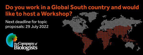 Terrestrial movement energetics: current knowledge and its application ...