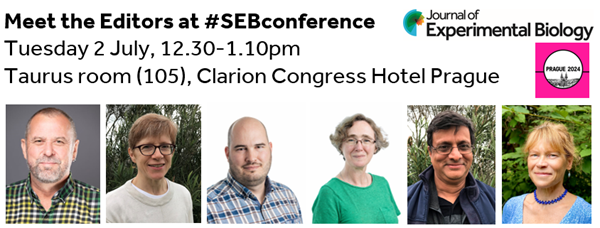 The role of gibberellin signalling in plant responses to abiotic stress ...