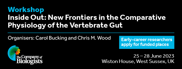 Sticky, stickier and stickiest – a comparison of adhesive performance ...