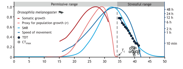 Sticky, stickier and stickiest – a comparison of adhesive performance ...