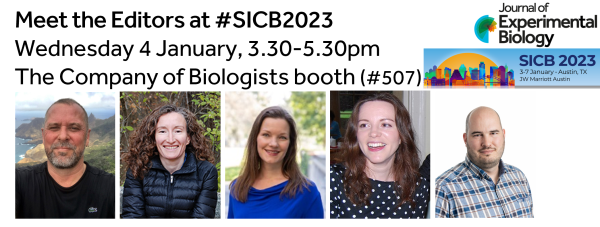 Sticky, stickier and stickiest – a comparison of adhesive performance ...