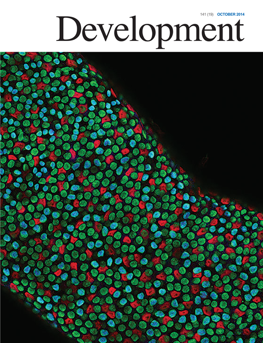 Systematic Profiling Of Spatiotemporal Tissue And Cellular Stiffness In