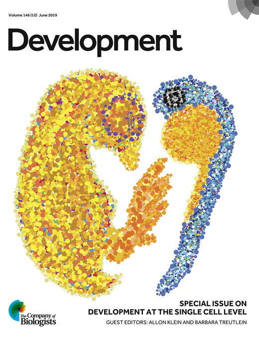 Recording development with single cell dynamic lineage tracing ... Recording development with single cell dynamic lineage tracing ...